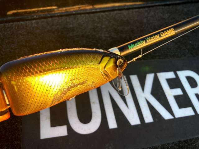 LUNKER KILLER | Enjoy your fishing Life With LUNKER KILLER.